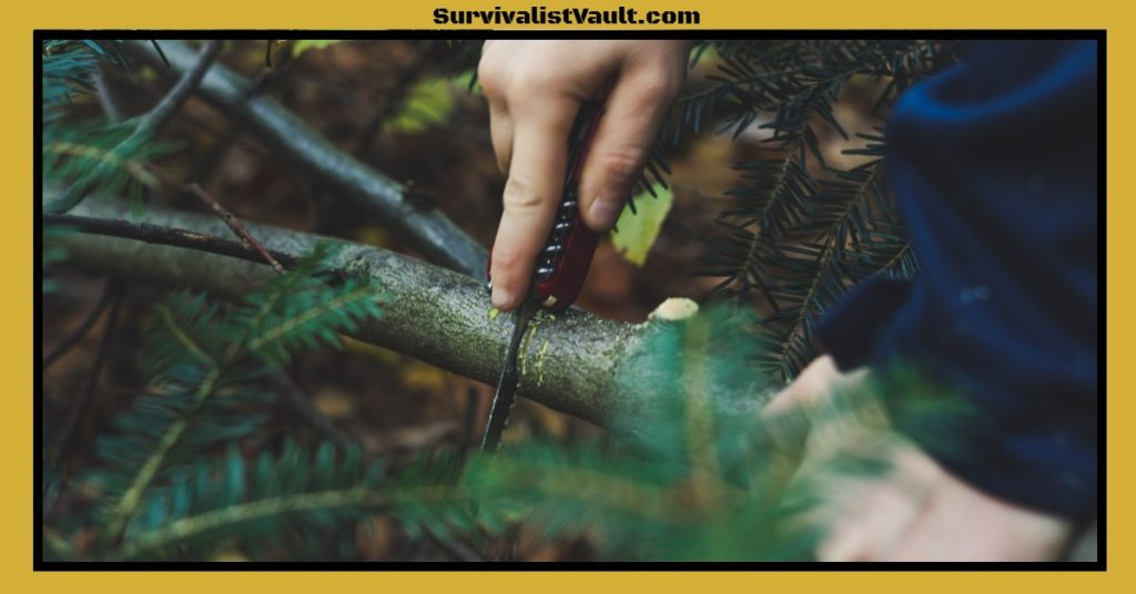 10 Survival Skills Needed During A Crisis Situation - Survivalist Vault